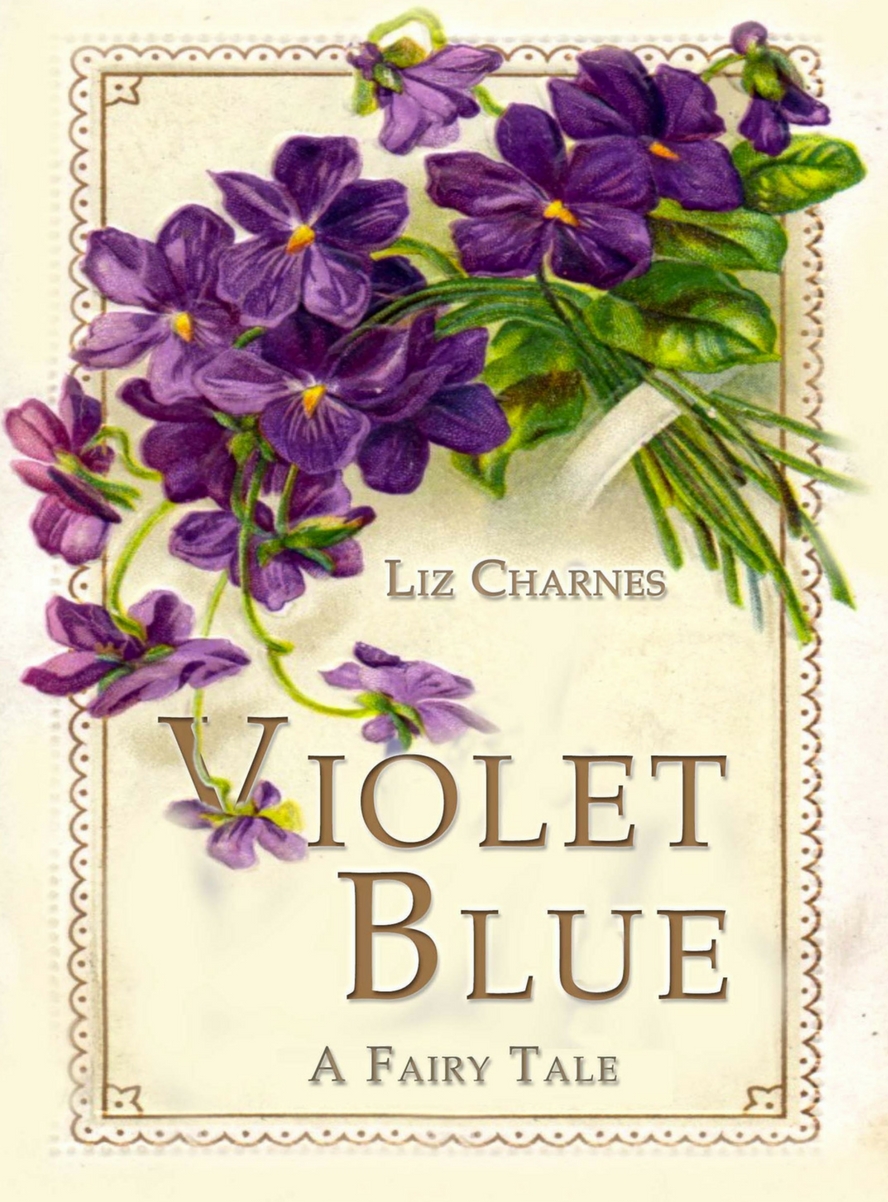 The Importance of a Cover – Liz Charnes